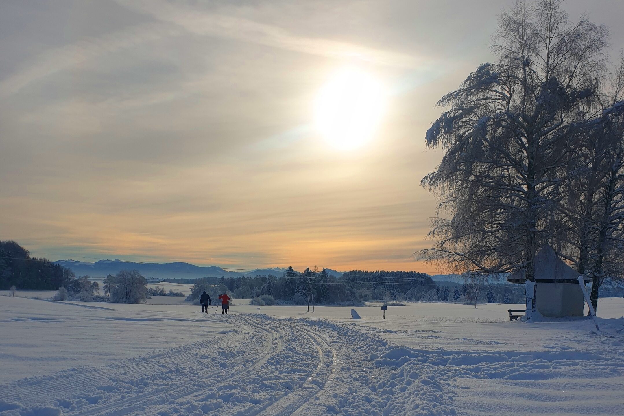 Langlaufen in Mattsee - Salzburger Seenland